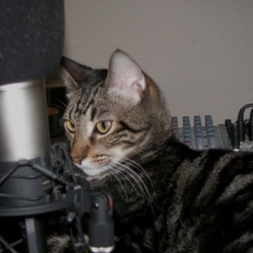 Contact Us – WRVU Nashville